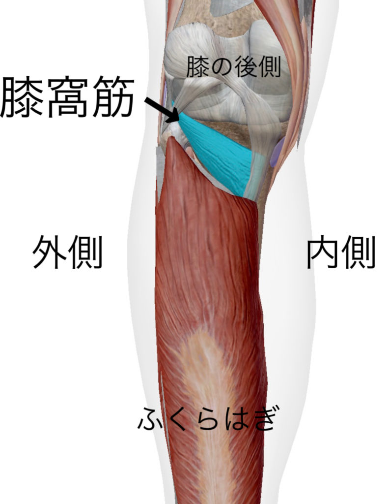 5591D61B-AF07-4F00-AB1C-FEFD1B6E236A