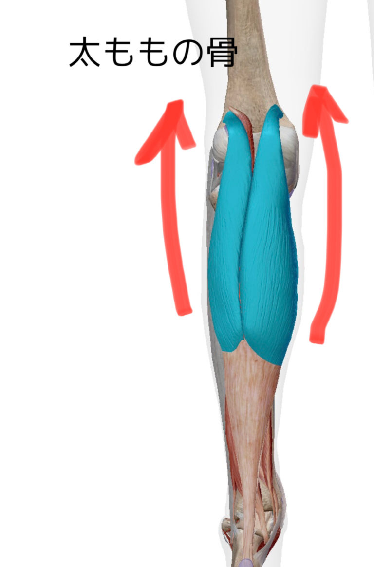 6A2B4E52-E911-4346-9B8B-B0556C5F0373